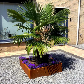 Cortenstaal plantenbak Vierkant 100x100 H=40 cm MET bodemplaat | van Eldijk